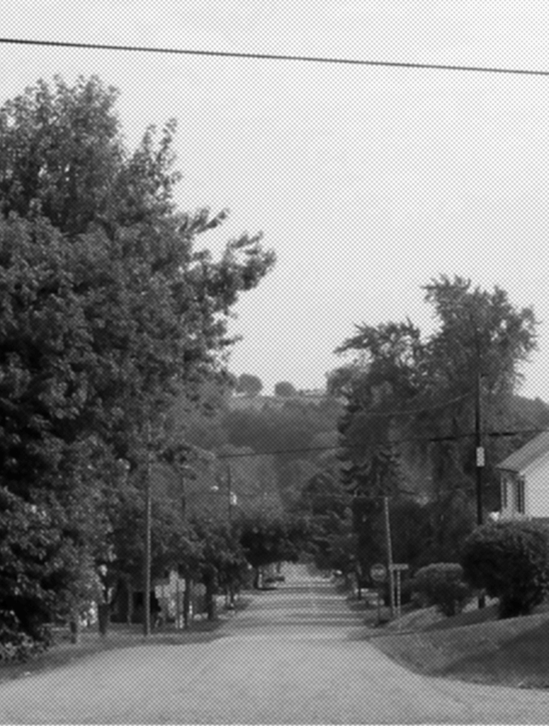 Daniel Och & Person & Hedgepapers « Categories « Hedge Clippers