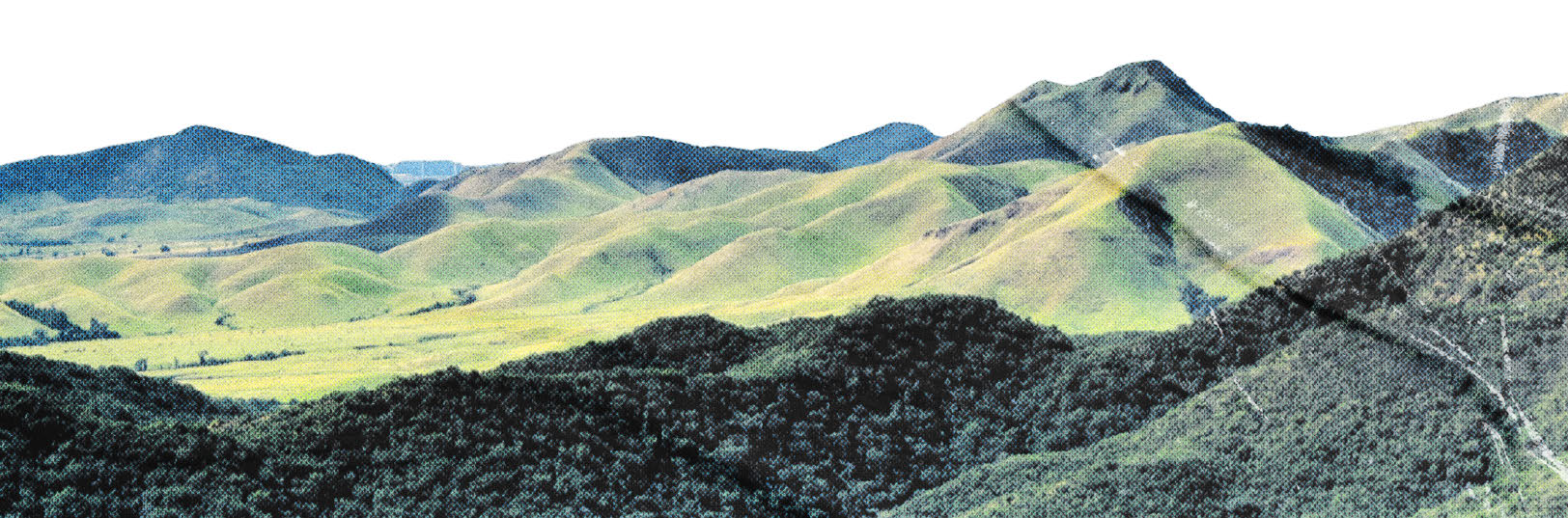 Pain & Profit: The Act 22 “Charities” that Take from Puerto Ricans and ...